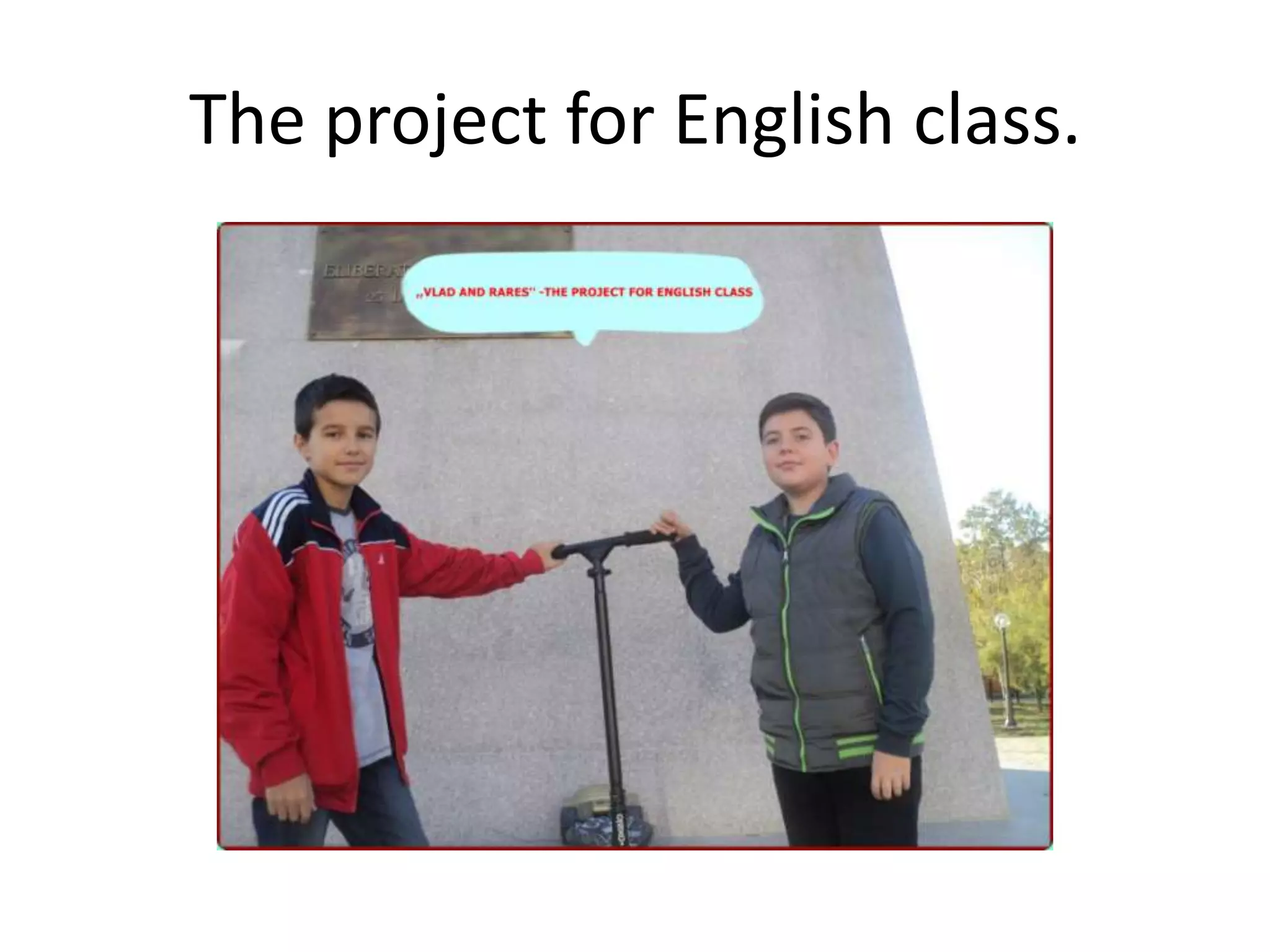 Proiect rares si vlad clasa a vi e | PPT