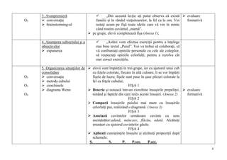 Proiect romana puiul | DOC