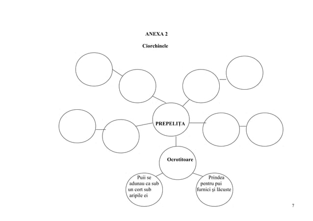 Proiect romana puiul | DOC