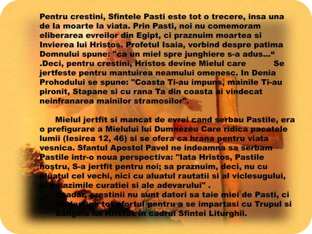 Proiect tic 1 | PPTX