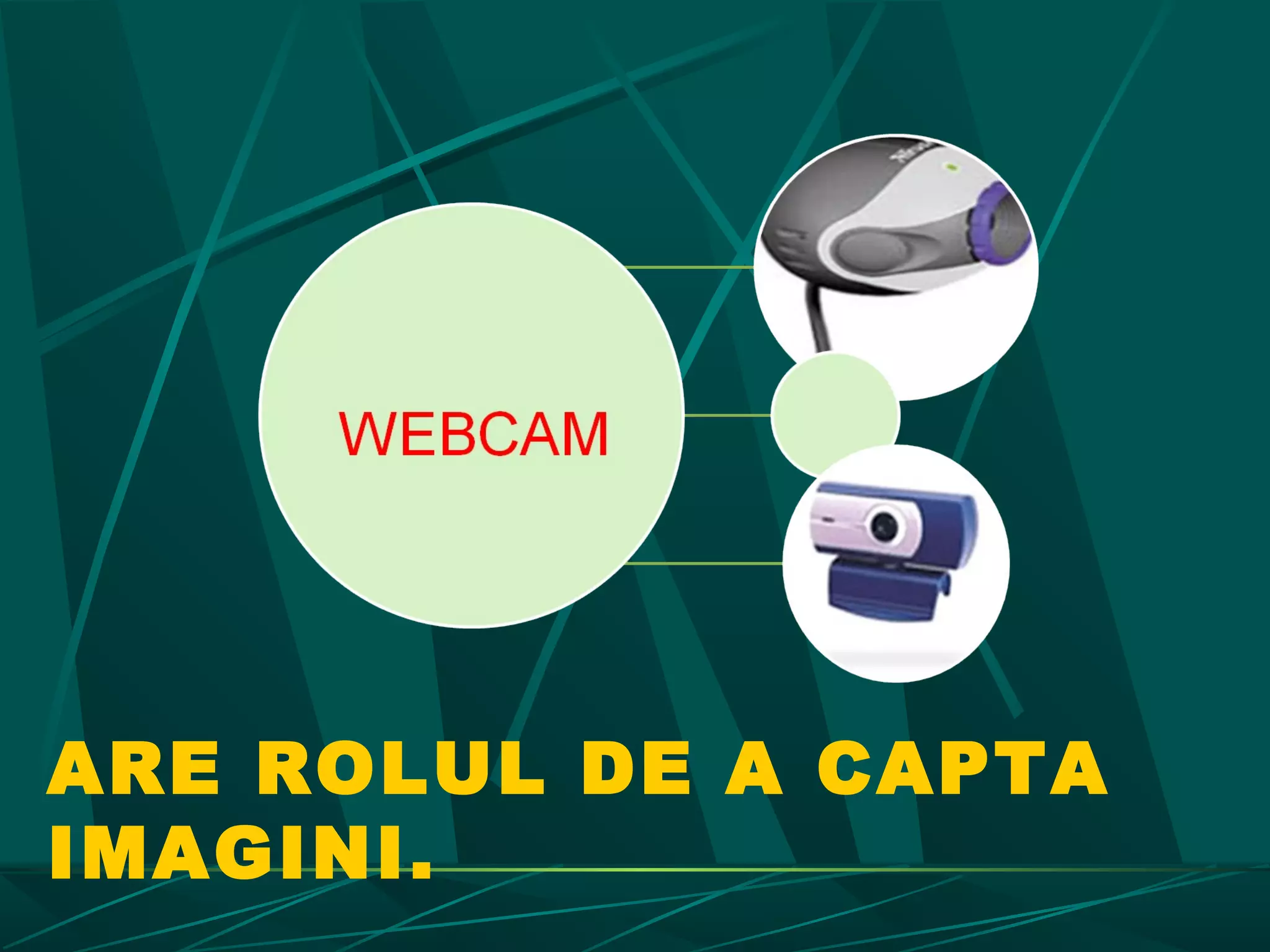 Proiect tic a_1c_antonescu_mariana | PPT