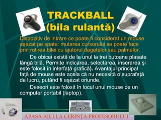 Proiect tic a_1c_antonescu_mariana | PPT