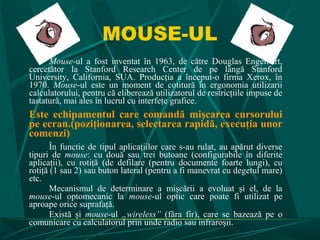 Proiect tic a_1c_antonescu_mariana | PPT