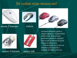 Proiect tic a_1c_antonescu_mariana | PPT