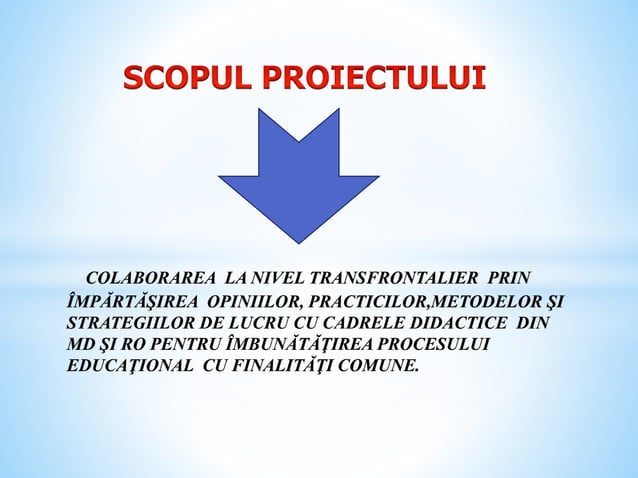 Proiect transfrontalier Grecu Larisa .pptx