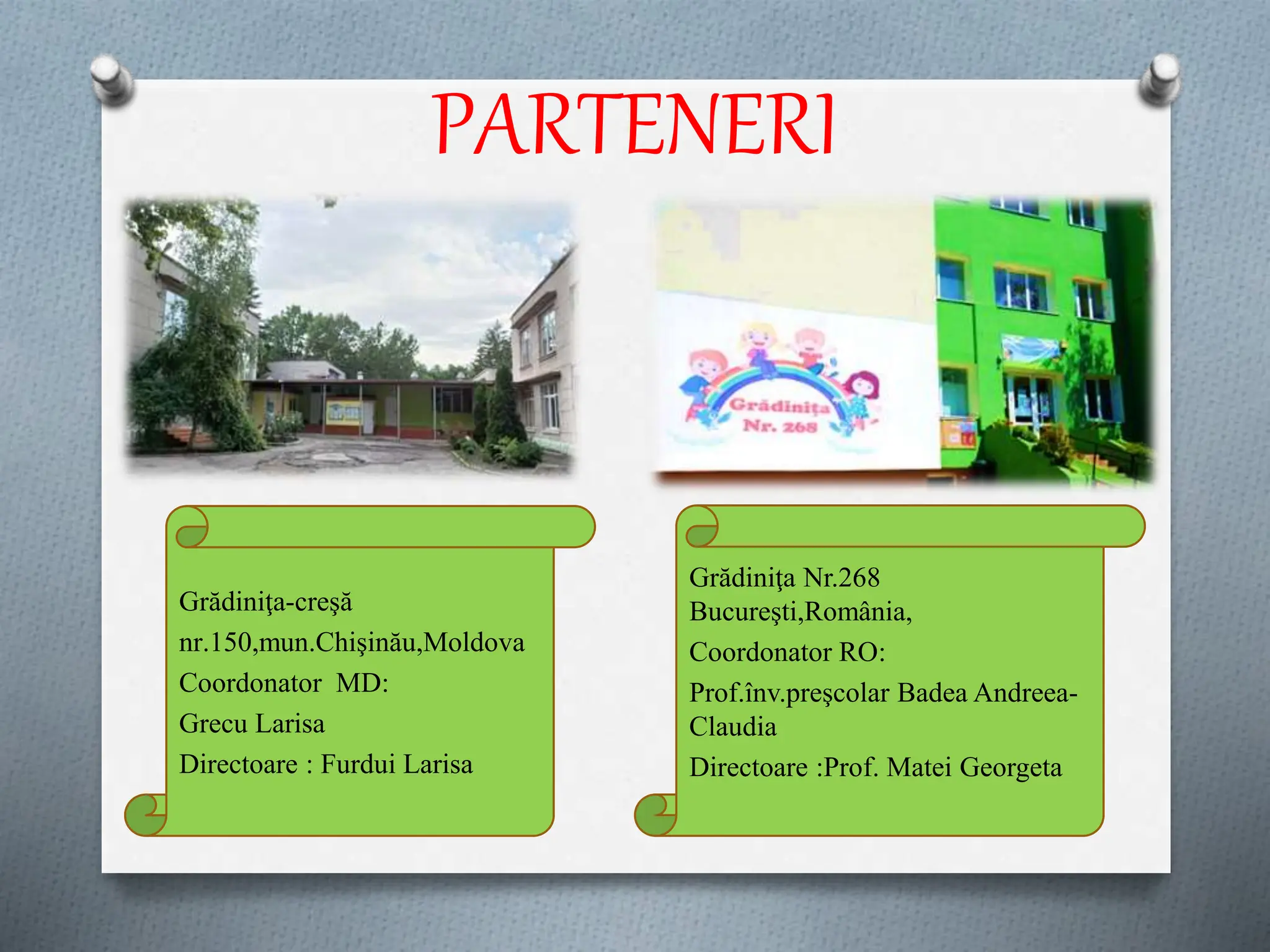 Proiect transfrontalier Grecu Larisa .pptx