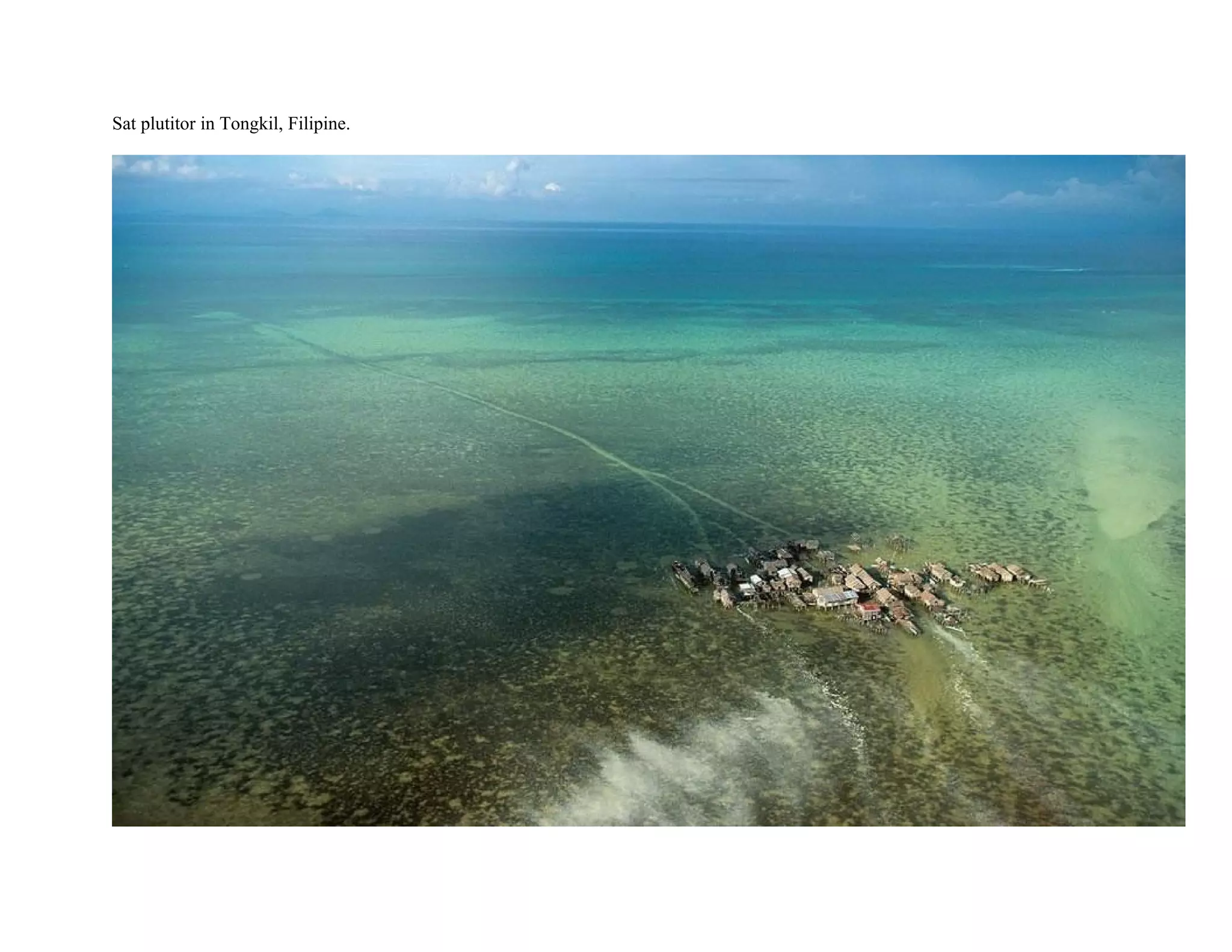 Proiectul lui yann arthus bertrand | DOC