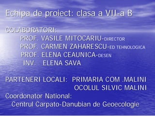 Proiectul national viorica_davidel | PPT