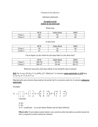 Proiect xi t1 matrice | PDF