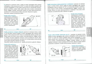 Proiezioni radiografiche della Spalla MSK | PDF