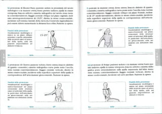 Proiezioni radiografiche della Spalla MSK | PDF