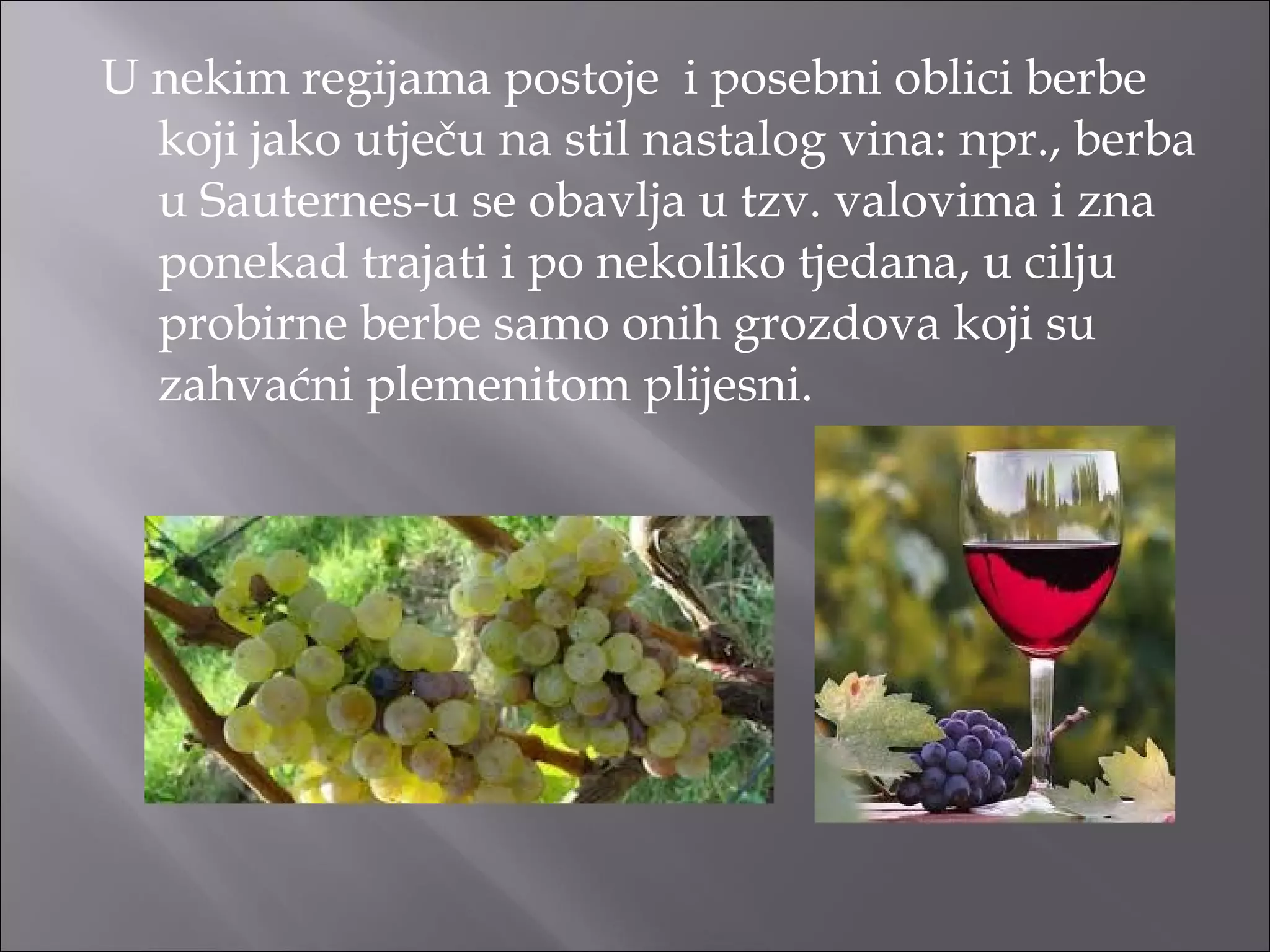 Proizvodnja vina - Nives Dominić | PPT