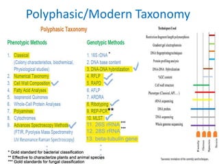 Introduction to Modern Biosystemaics for Fungal Classification | PPTX