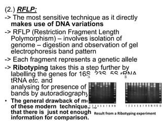 Introduction to Modern Biosystemaics for Fungal Classification | PPTX