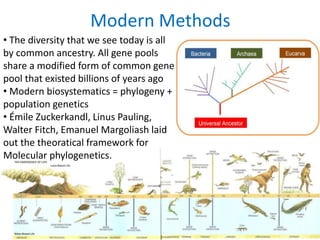 Introduction to Modern Biosystemaics for Fungal Classification | PPTX