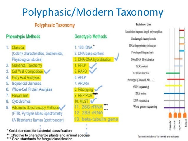 Introduction to Modern Biosystemaics for Fungal Classification