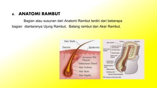 PPT Teknologi Keperawatan | PPTX