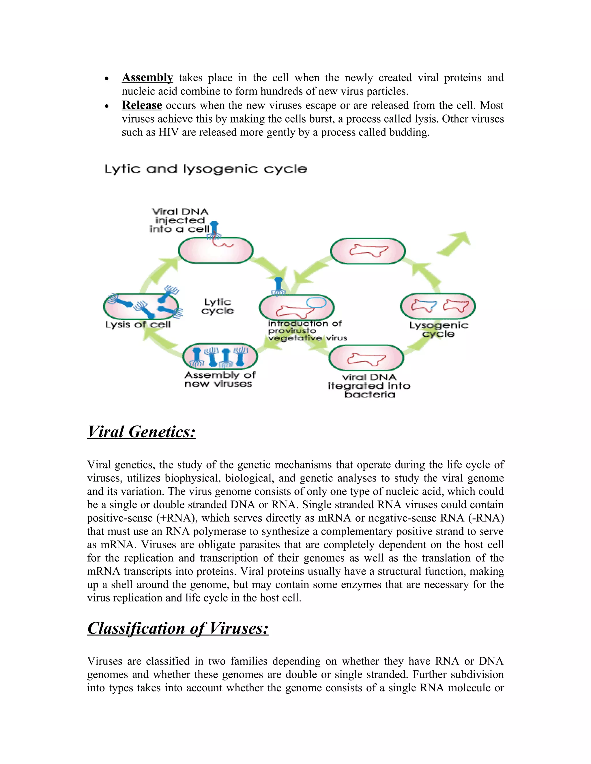 dna and rna Viruses | DOC