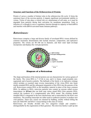 dna and rna Viruses | DOC