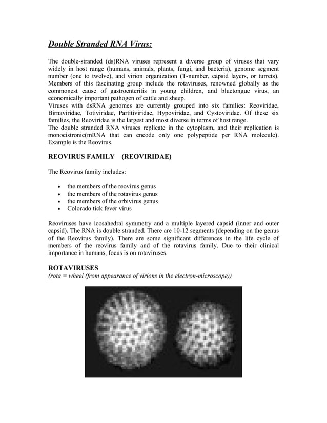 dna and rna Viruses | DOC | Infectious Diseases | Diseases and Conditions