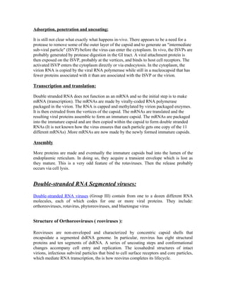 dna and rna Viruses | DOC