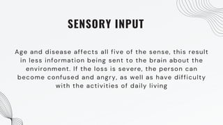Project 1 the sensory system and its explanation | PPT