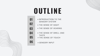Project 1 the sensory system and its explanation | PPT