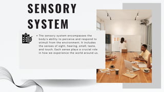 Project 1 the sensory system and its explanation | PPT