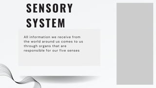 Project 1 the sensory system and its explanation | PPT