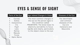 Project 1 the sensory system and its explanation | PPT