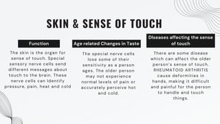 Project 1 the sensory system and its explanation | PPT