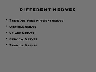 nervous system | PPT