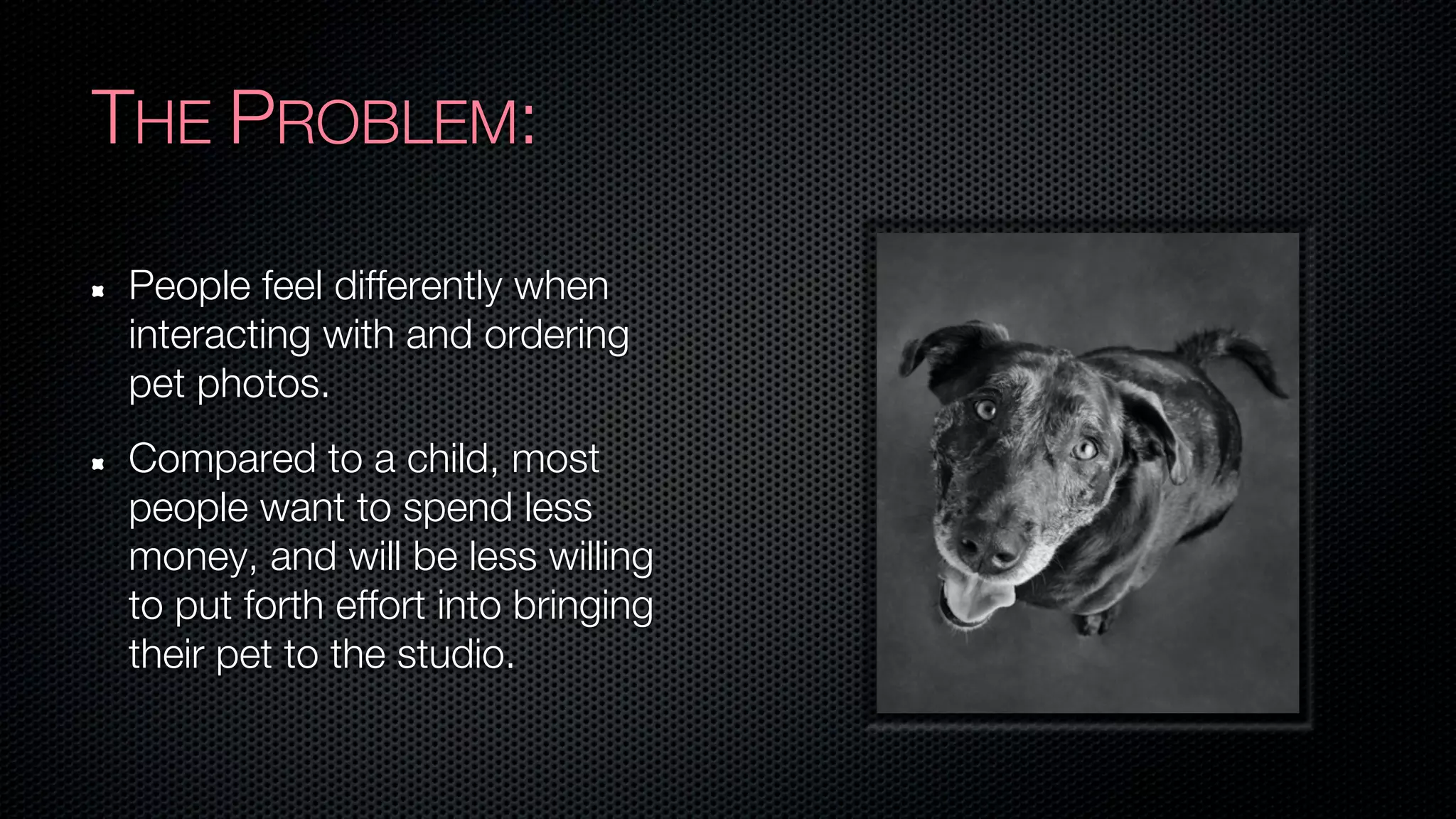 Furry Friends | PPT | Free Download