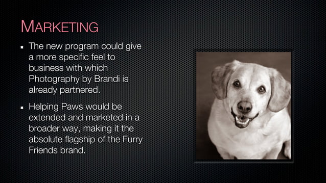 Furry Friends | PPT