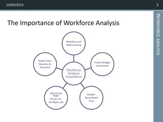 Human Resource Planing: Workforce Analysis | PPT
