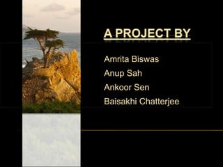 Wireless Sensor Networks with emphasis on DSR | PPTX