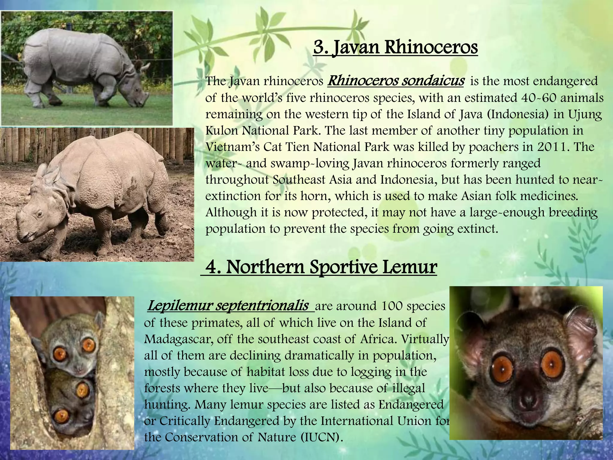Endangered and Threatened Plants and Animals | PPTX
