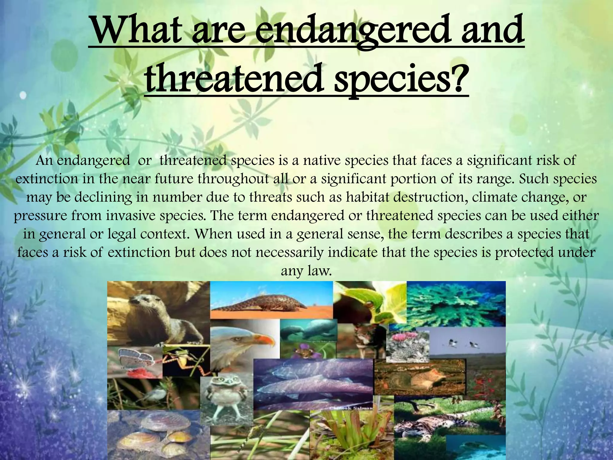 Endangered and Threatened Plants and Animals | PPTX