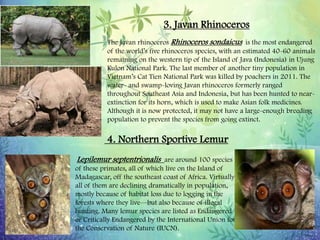 Endangered and Threatened Plants and Animals | PPTX