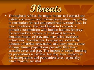 Leopard (An animal in danger) | PPT