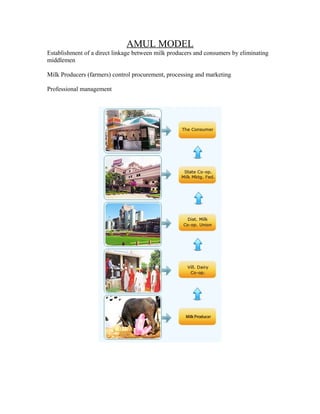 AMUL PROJECT - BUSSINESS STUDIES | DOC