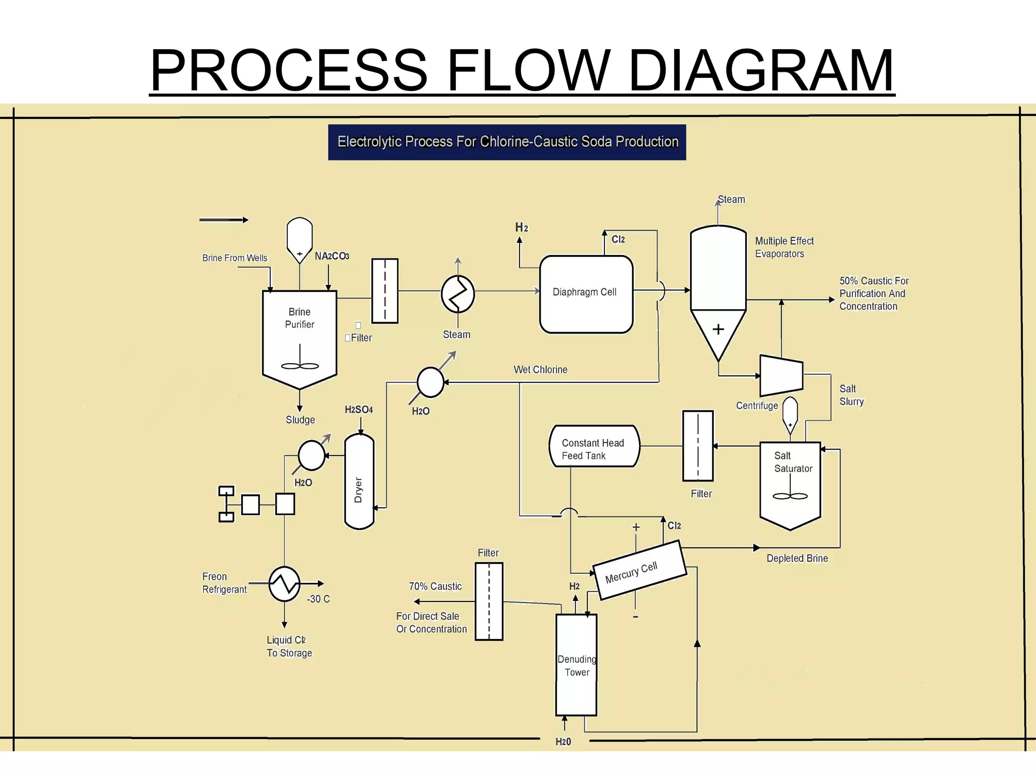 Manufacture of caustic soda and chlorine using electrolysis process ...