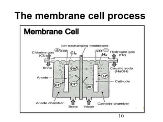 Manufacture of caustic soda and chlorine using electrolysis process ...