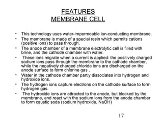 Manufacture of caustic soda and chlorine using electrolysis process ...