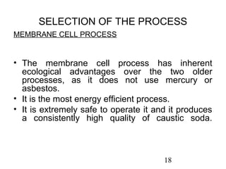 Manufacture of caustic soda and chlorine using electrolysis process ...