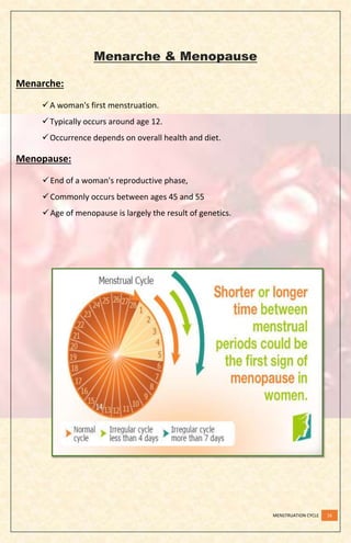 Menstrual Cycle | DOCX