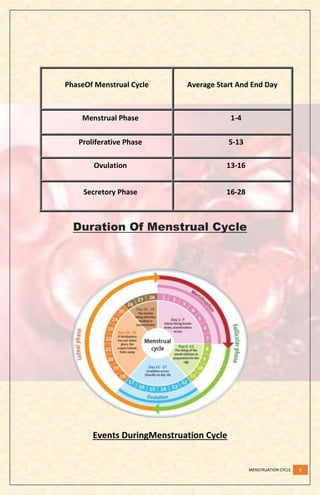 Menstrual Cycle | DOCX