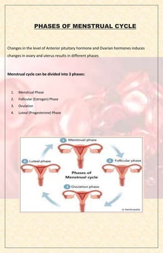 Menstrual Cycle: Phases Hormones SheCares | atelier-yuwa.ciao.jp