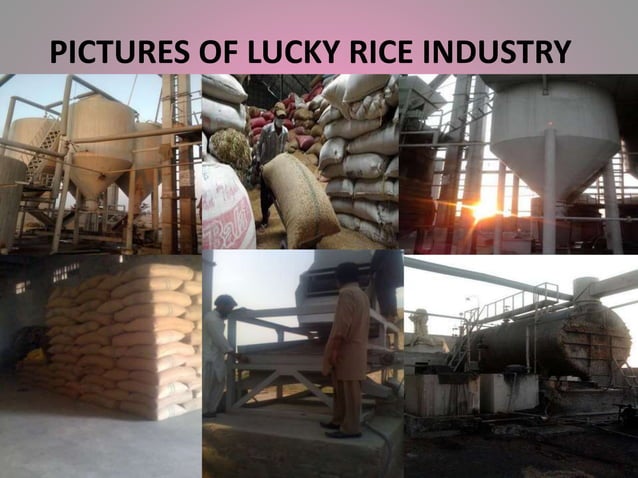 Rice mill production process | PPTX