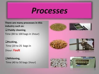 Rice mill production process | PPTX